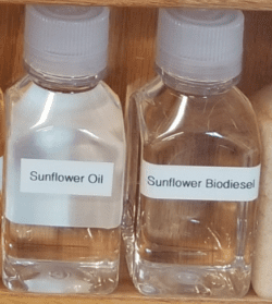 Biodiesel Feedstocks - Sunflower Oil & Tung Oil | Star Oilco